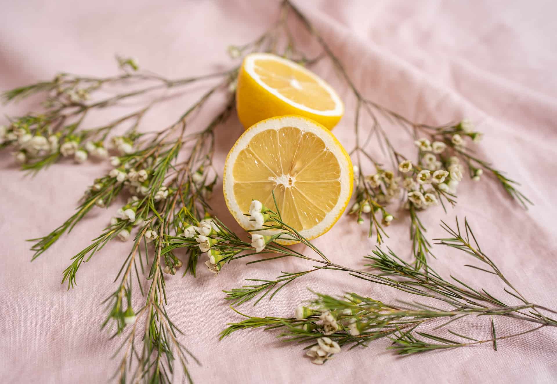 What is Limonene Terpene? Effects and Benefits – EntheaCare